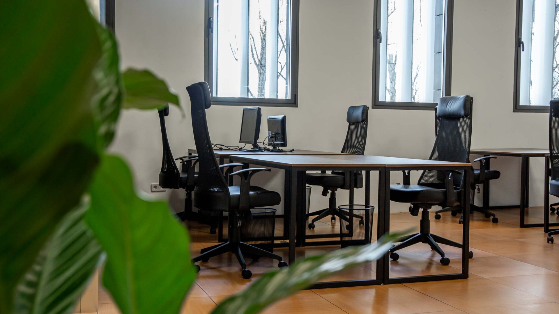 Consejos para un Estilo de Vida Saludable en un Espacio de Coworking ...